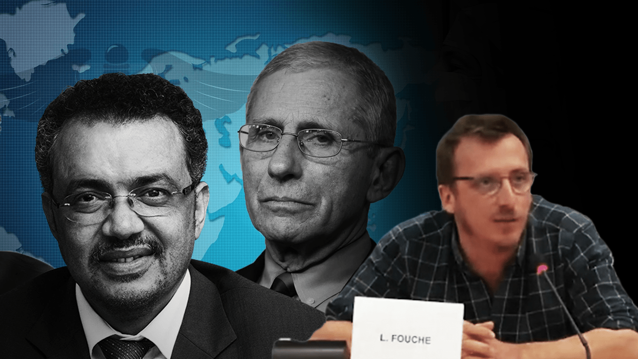 Prof. Fouché le canta all'OMS in Europarlamento "Prima del 2020 non ...