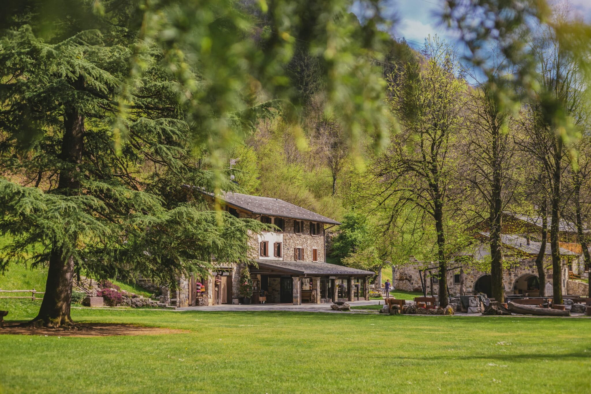 Ferdy Wild: l’agriturismo di montagna con stella verde Michelin nel ...